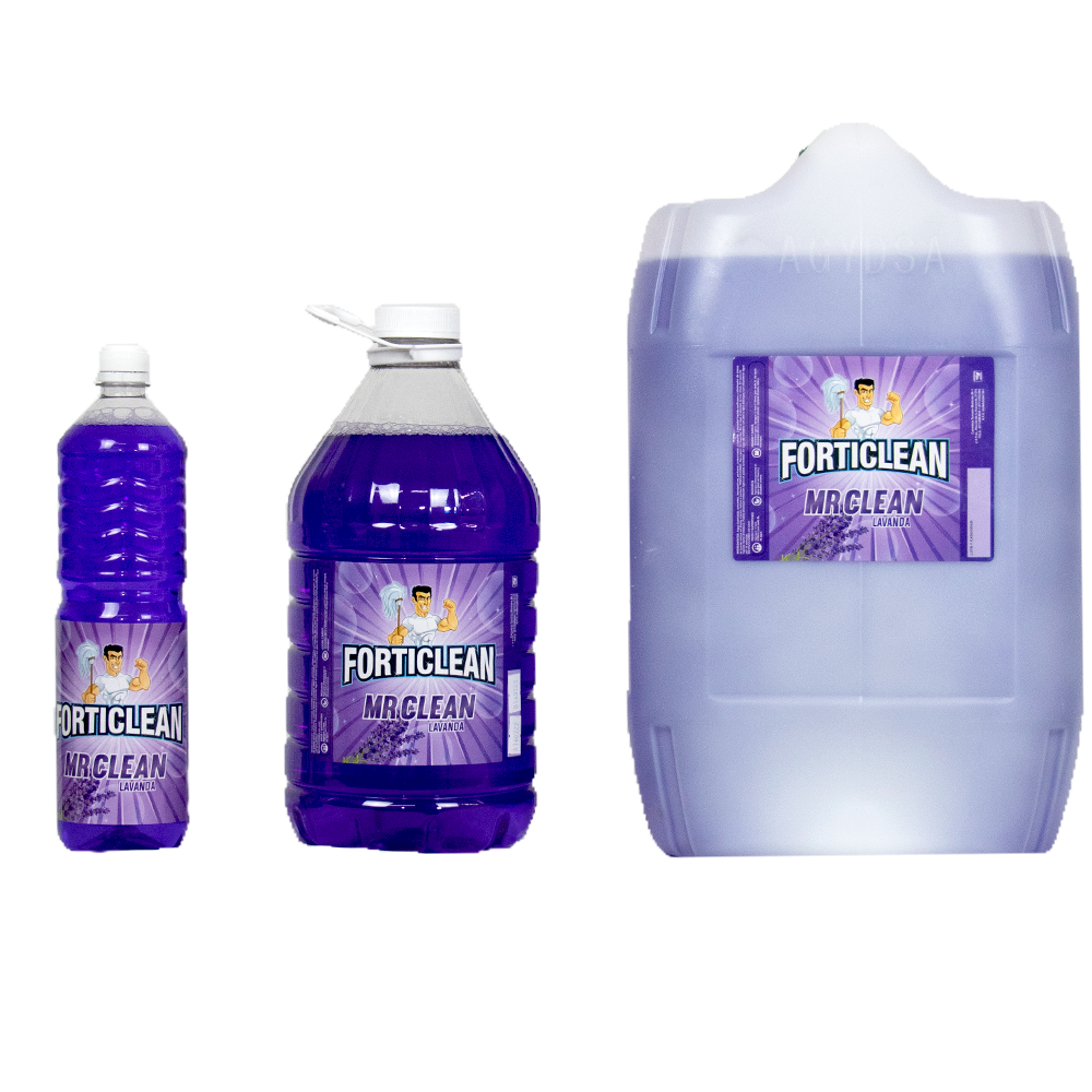 MR. CLEAN MULTIUSOS – Forticlean